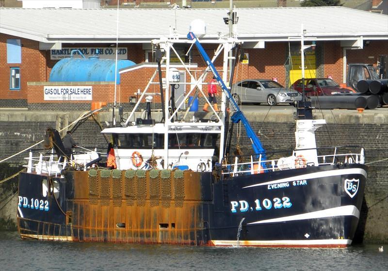 EVENING STAR - Vesseljoin