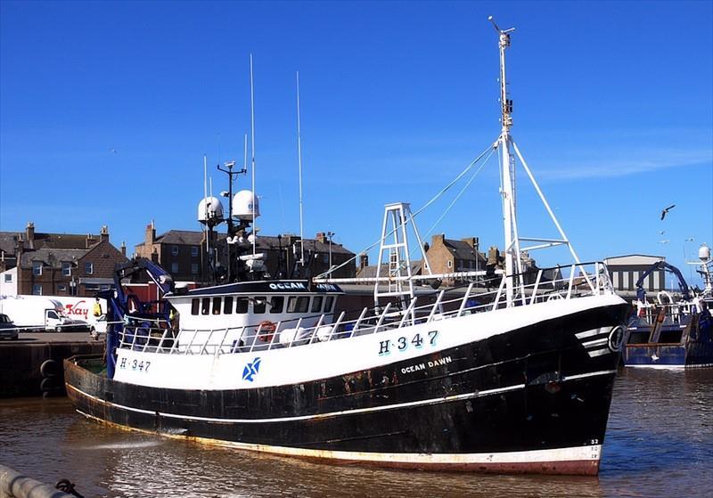 OCEAN DAWN - Vesseljoin