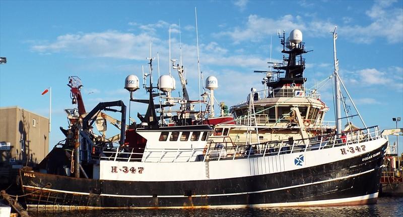 OCEAN DAWN - Vesseljoin