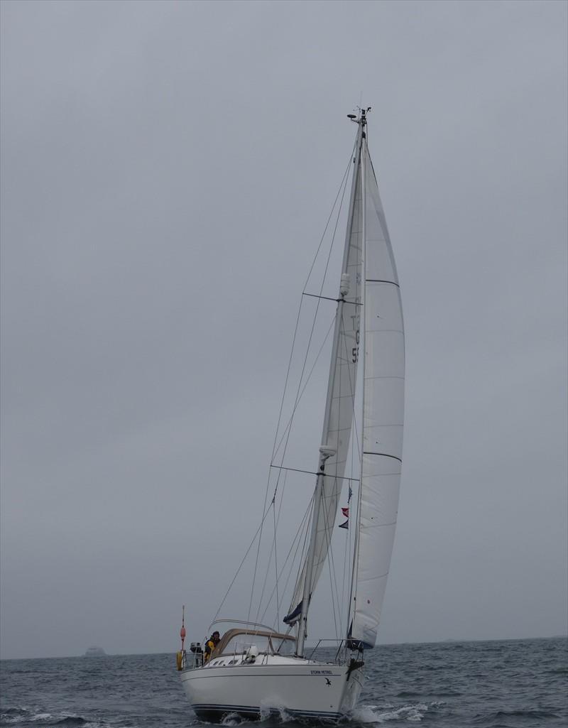 STORM PETREL - Vesseljoin