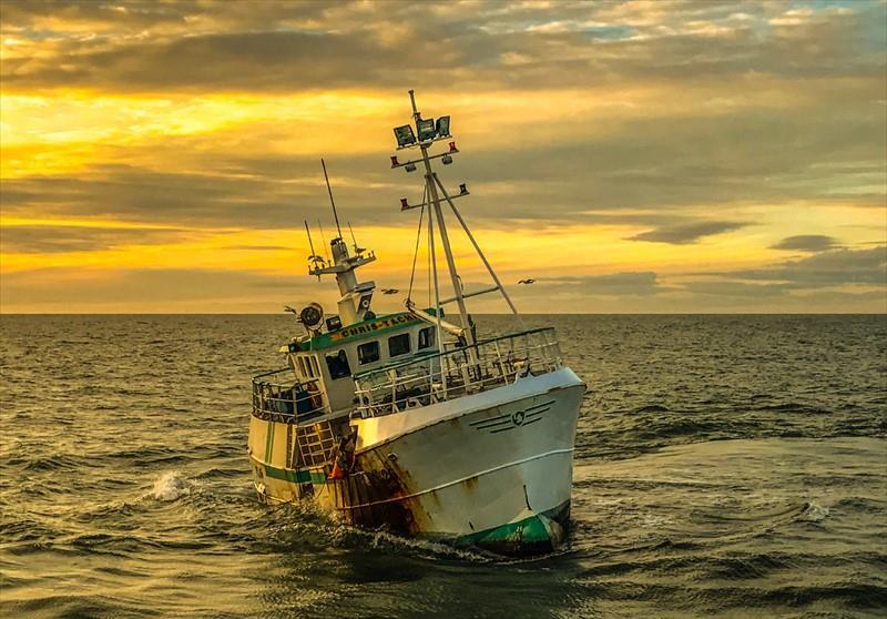 CHRIS TACHA - Vesseljoin