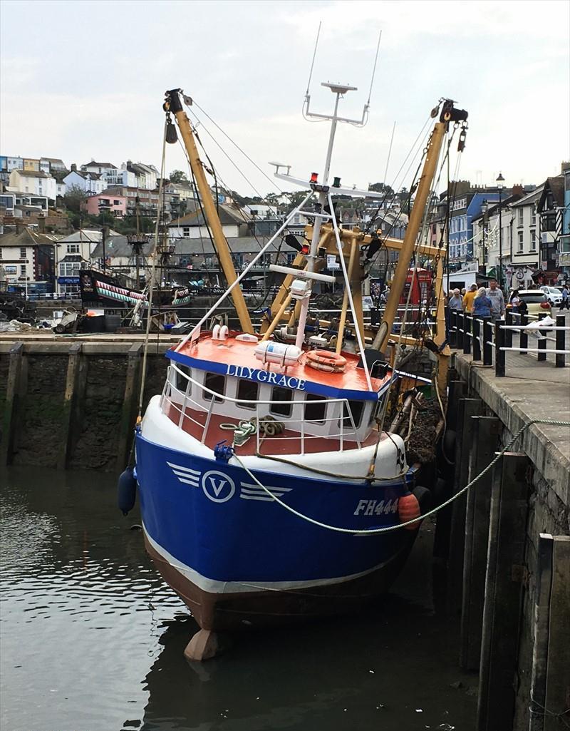 LILY GRACE - Vesseljoin