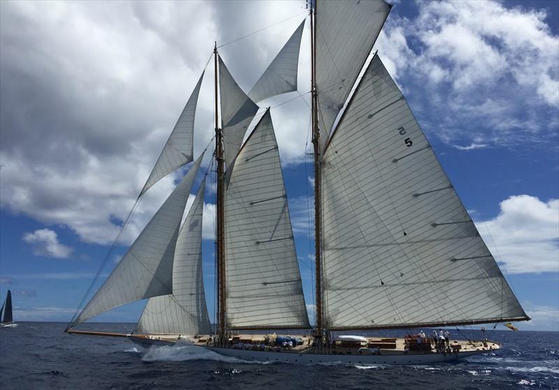 ELEONORA E - Vesseljoin