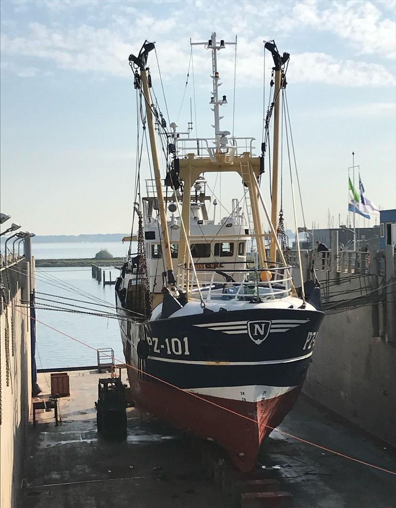 LOUISA N - Vesseljoin