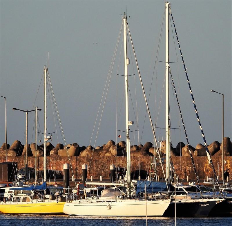 LADY JANE - Vesseljoin