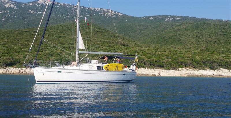 GENIAL BEE - Vesseljoin