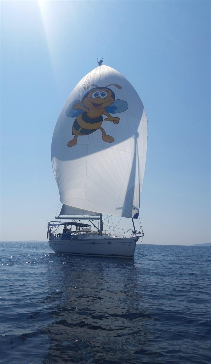 GENIAL BEE - Vesseljoin