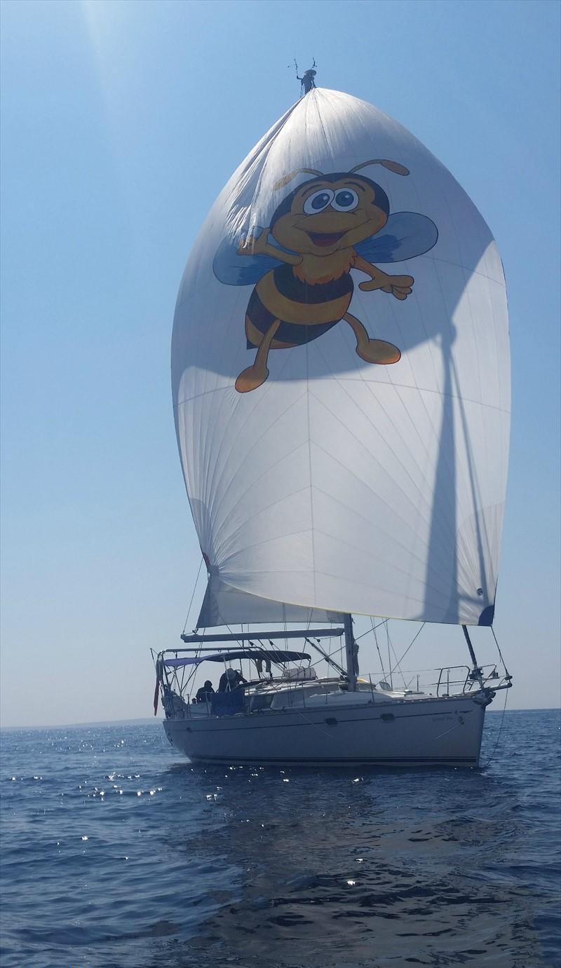 GENIAL BEE - Vesseljoin