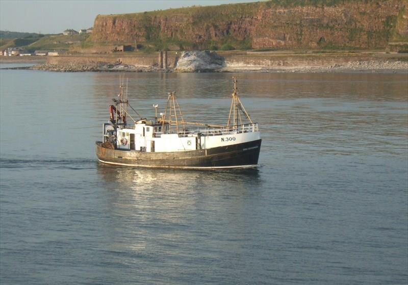 IRISH ENTERPRISE - Vesseljoin