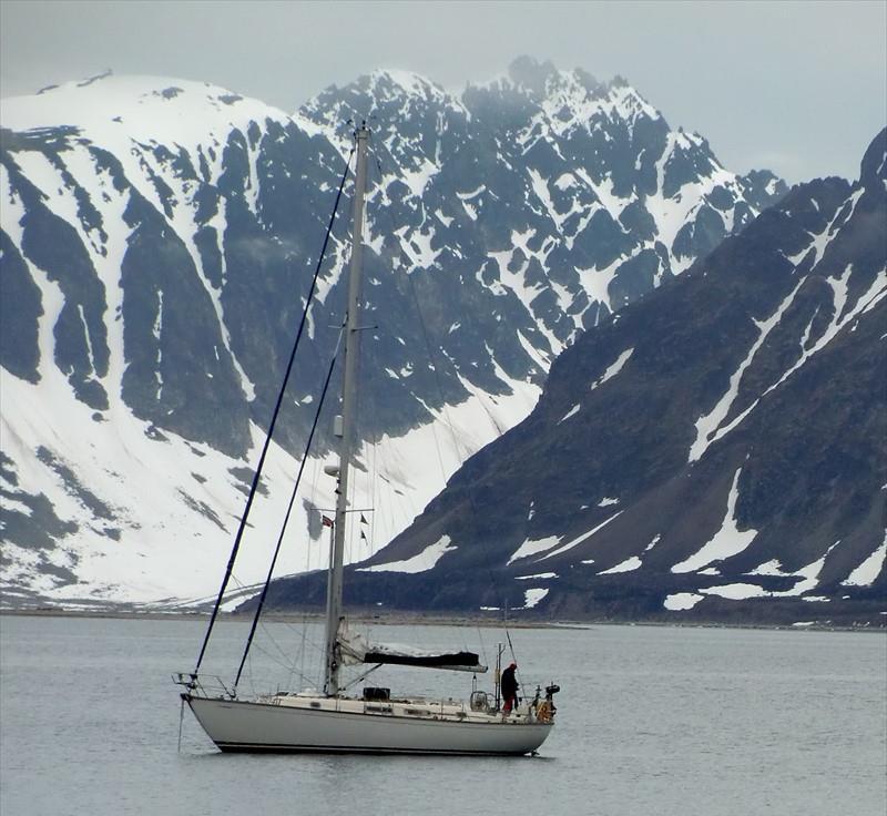 AWELINA OF SWEDEN - Vesseljoin