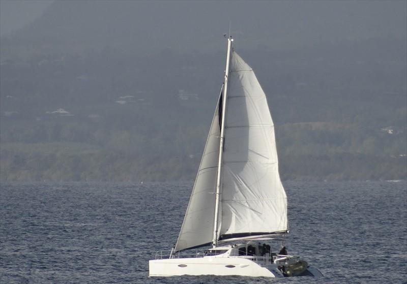 WET DREAM - Vesseljoin