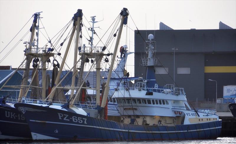 OUR ANNA - Vesseljoin