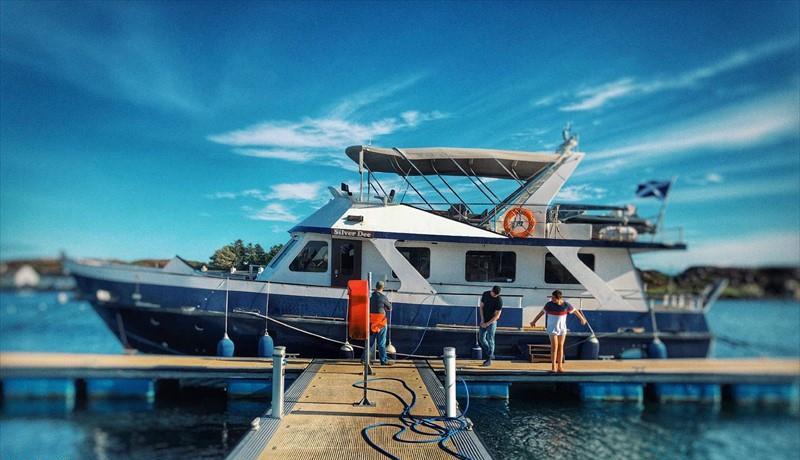 SILVER DEE - Vesseljoin