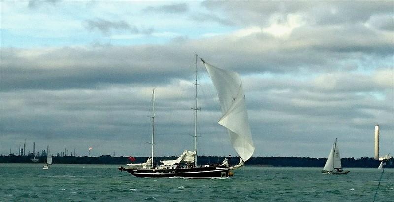 PROLIFIC - Vesseljoin