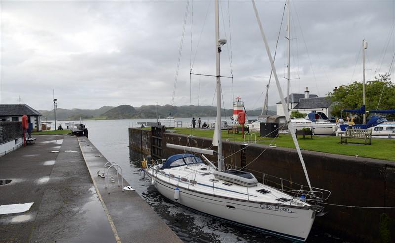 CALICO MOON - Vesseljoin