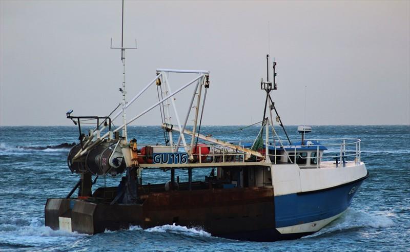 AMY BLUE - Vesseljoin