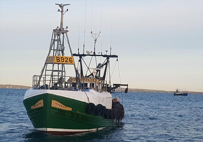 NIMROD III - Vesseljoin