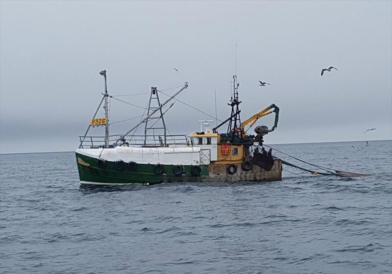 NIMROD III - Vesseljoin