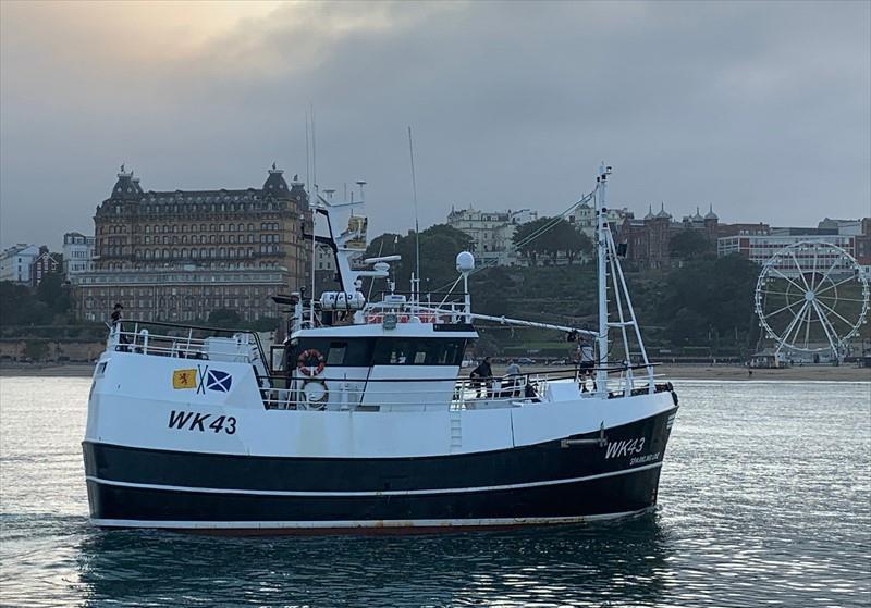 SPARKLING LINE - Vesseljoin