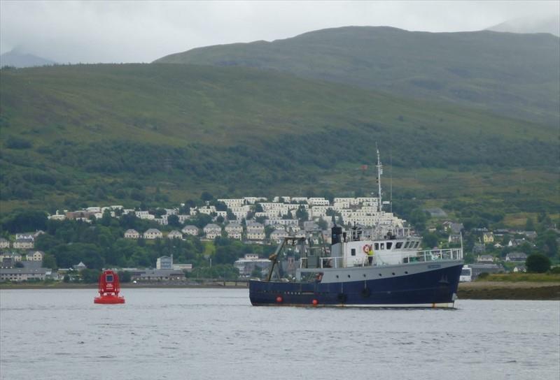 CALANUS - Vesseljoin