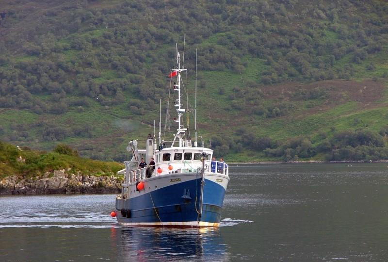 CALANUS - Vesseljoin