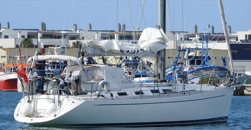 TIGER LILY - Vesseljoin