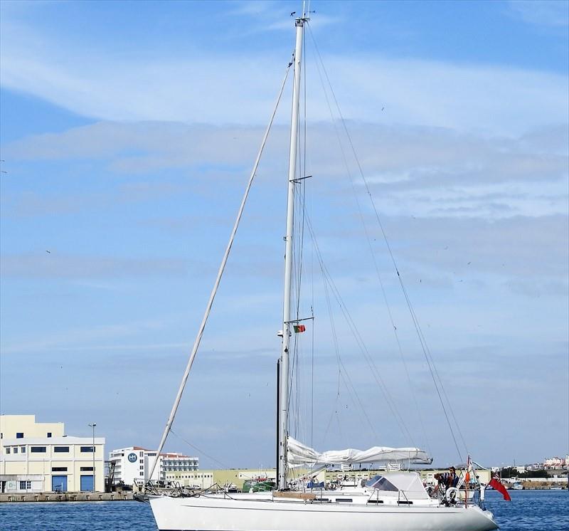 TIGER LILY - Vesseljoin