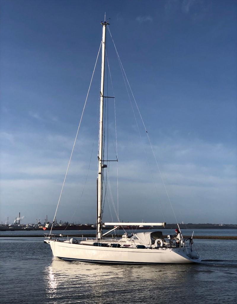 TIGER LILY - Vesseljoin