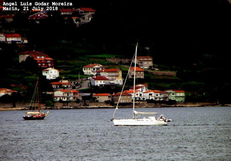 TIGER LILY - Vesseljoin