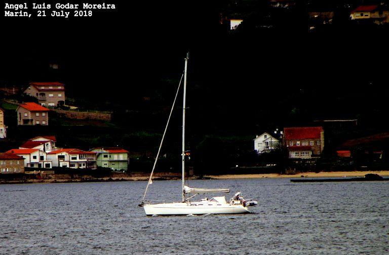 TIGER LILY - Vesseljoin