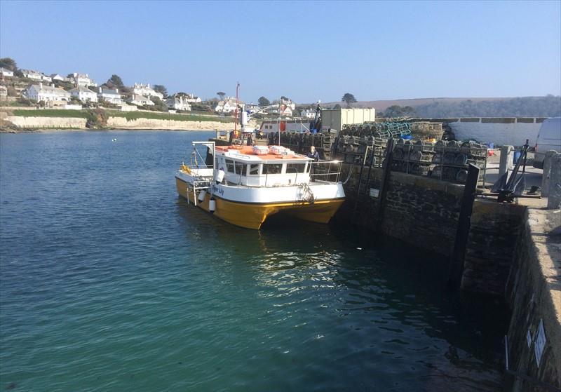 TIGER LILY VI - Vesseljoin