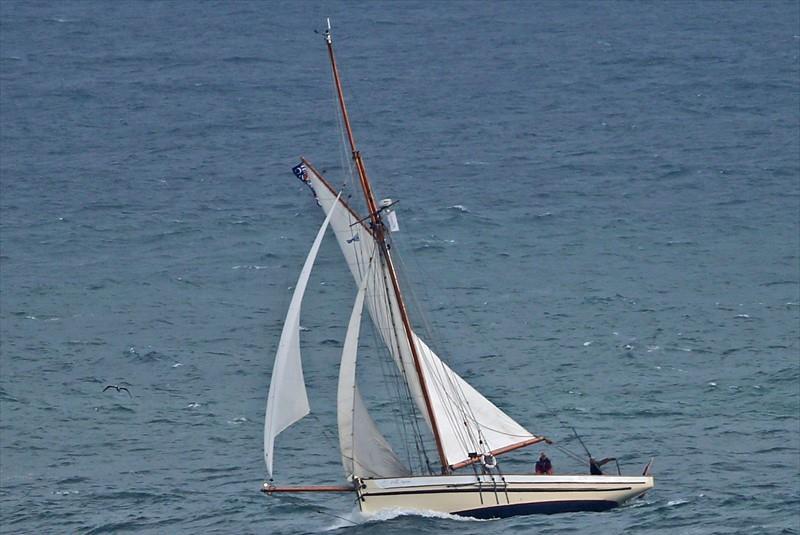 POLLY AGATHA - Vesseljoin