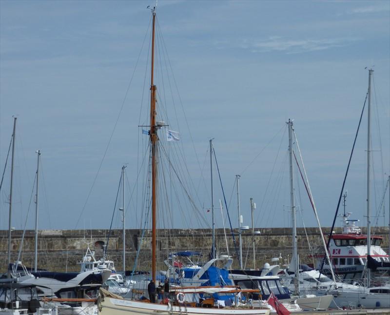 POLLY AGATHA - Vesseljoin