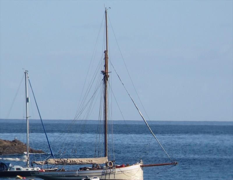 POLLY AGATHA - Vesseljoin