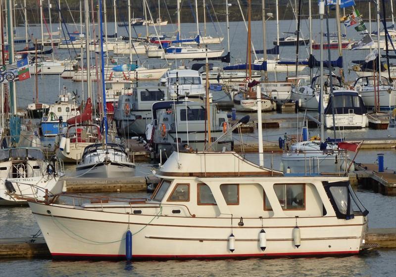 BEAUFORT BEAR - Vesseljoin