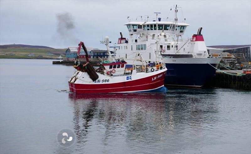 PROLIFIC - Vesseljoin