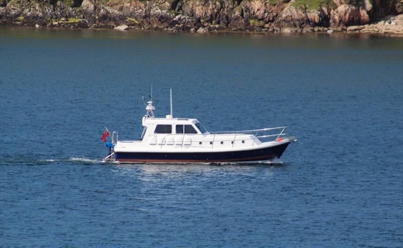 ARCTIC HARE - Vesseljoin