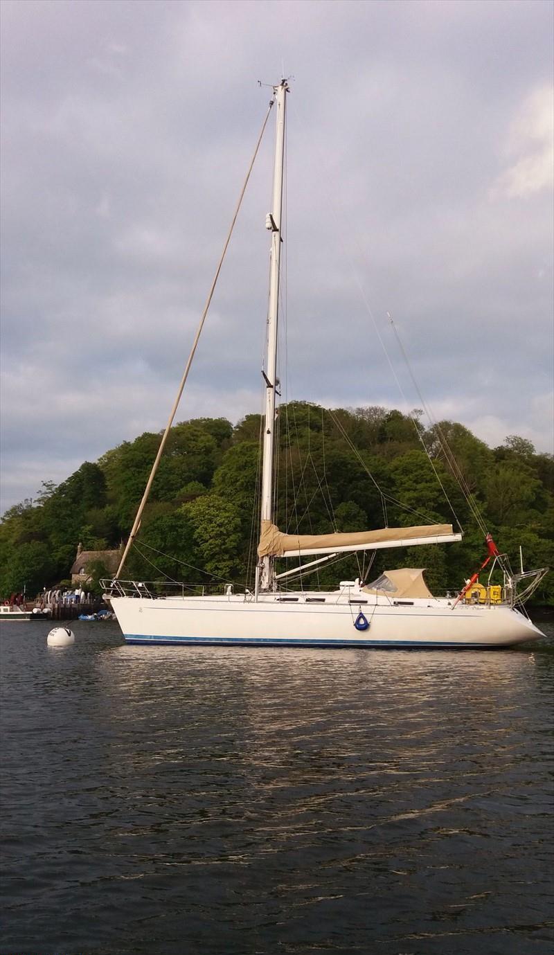 WILD IRIS - Vesseljoin