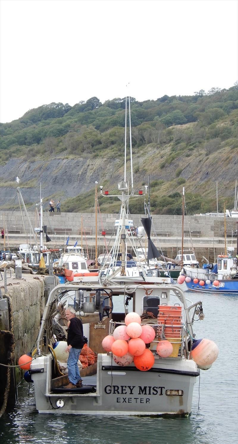 GREY MIST - Vesseljoin