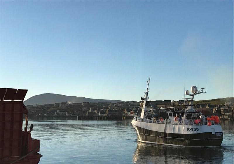 NORONYA - Vesseljoin