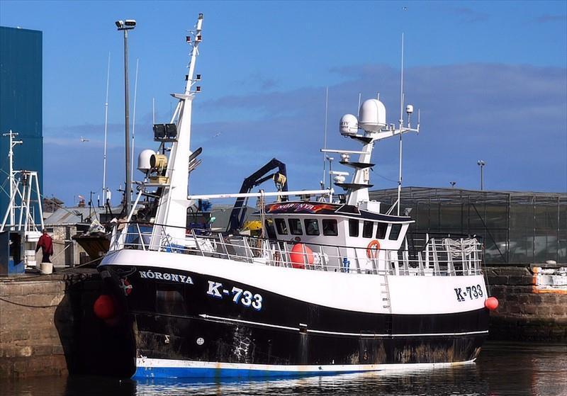 NORONYA - Vesseljoin