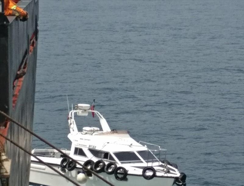 ULTIMATE PREDATOR - Vesseljoin