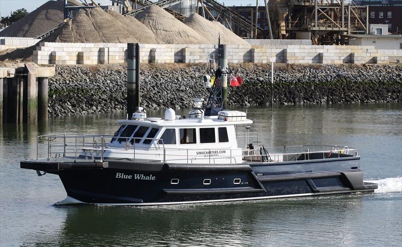 BLUE WHALE - Vesseljoin