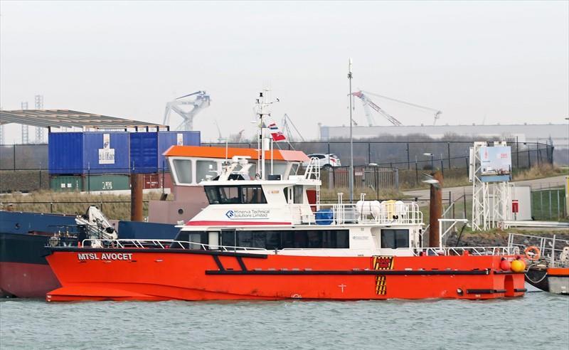 MTSL AVOCET - Vesseljoin