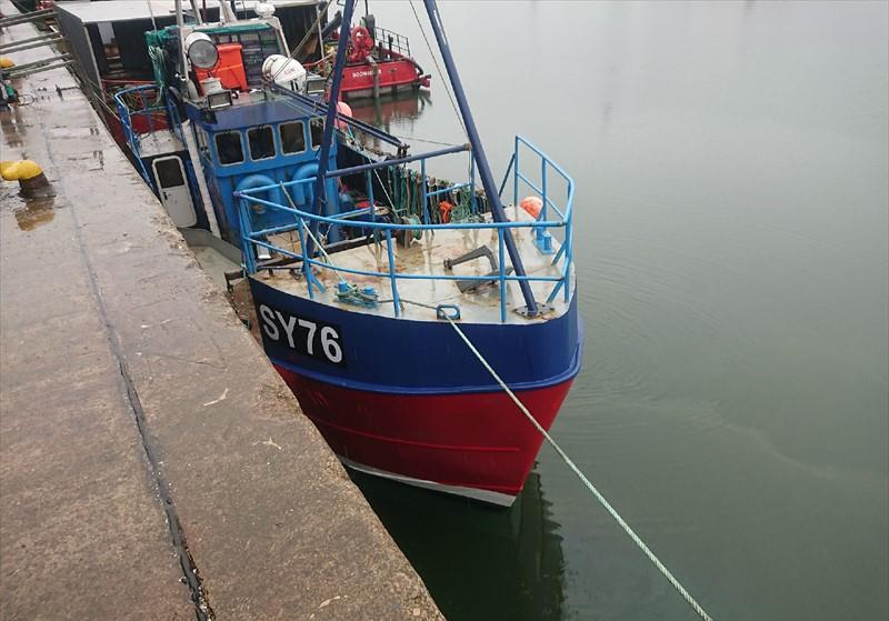 IVY MAY - Vesseljoin