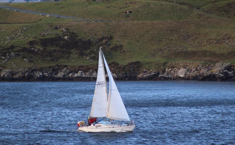 ROE REBELLION - Vesseljoin