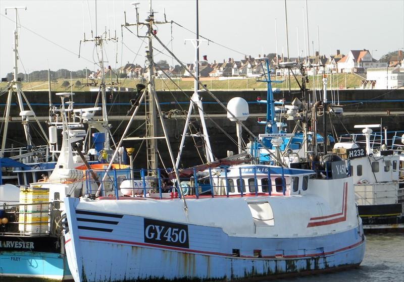 INGER LIS GY450 - Vesseljoin