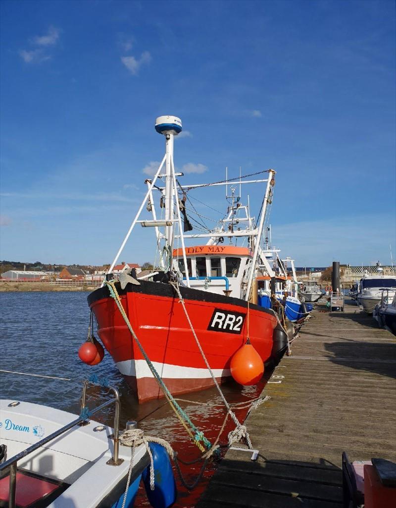 LILY MAY - Vesseljoin