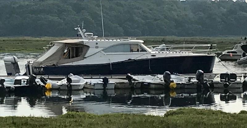 LAZY TIGER - Vesseljoin