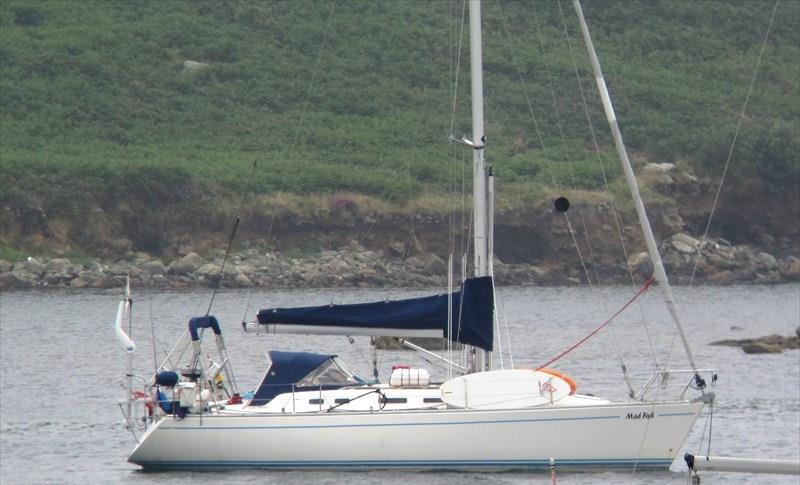 MAD FISH - Vesseljoin